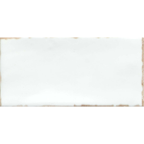 Emser Tile Antigo 5 In. X 5 In. Glossy Ceramic Wall Tile (12.1 Sq. Ft./Case) | Wayfair